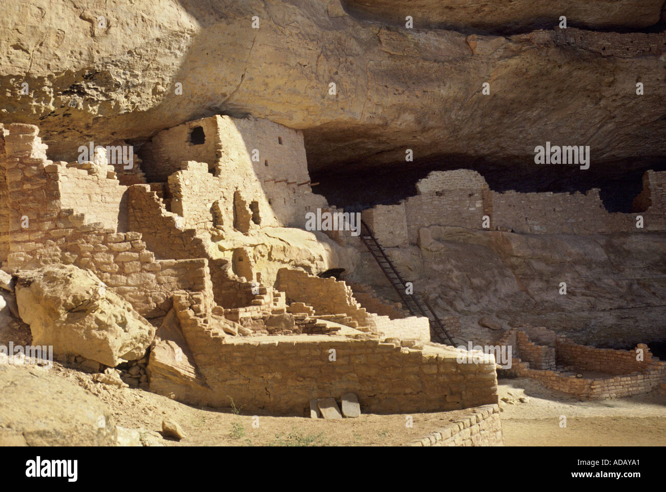 Long house mesa verde hi-res stock photography and images - Alamy