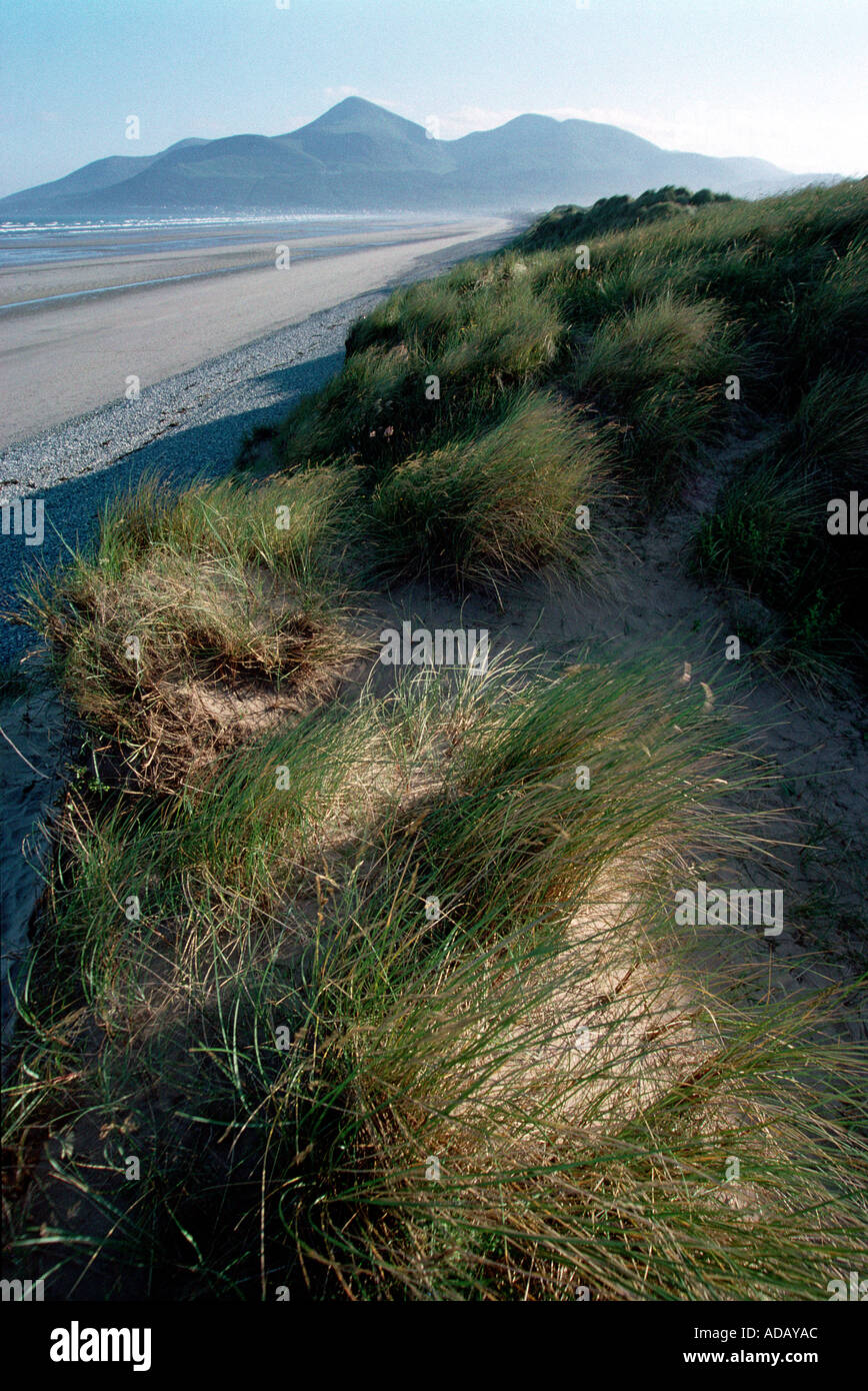 Murlough nature reserve county down hi-res stock photography and images ...