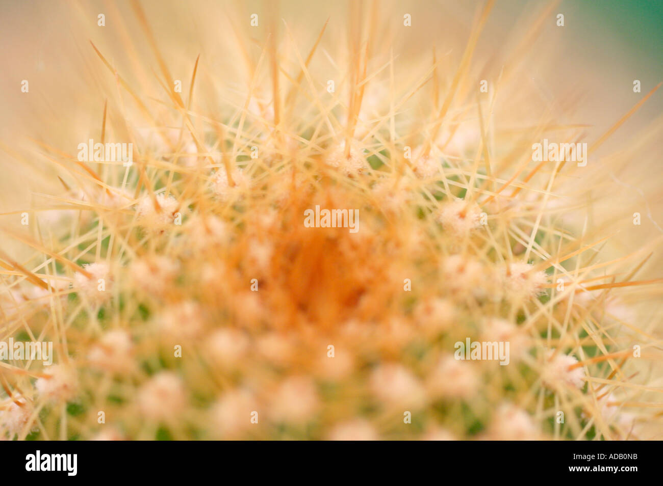 Radial Spikes High Resolution Stock Photography and Images - Alamy