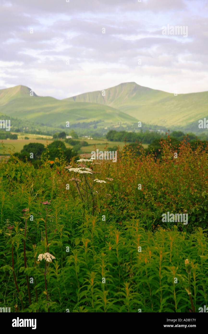 Cribyn Pen y Fan Brecon Beacons Wales UK Stock Photo - Alamy