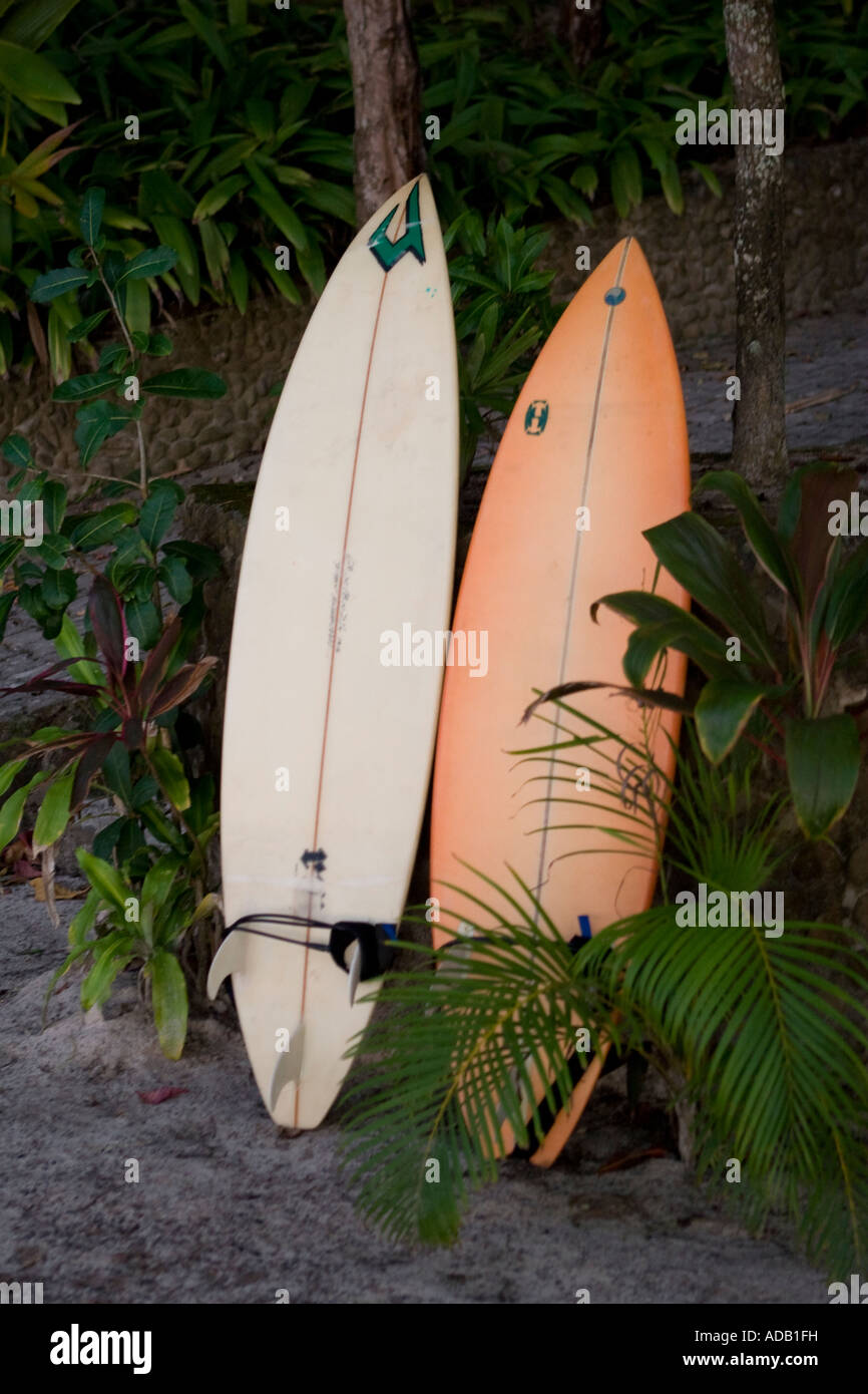 surf boards leaning standing Stock Photo - Alamy