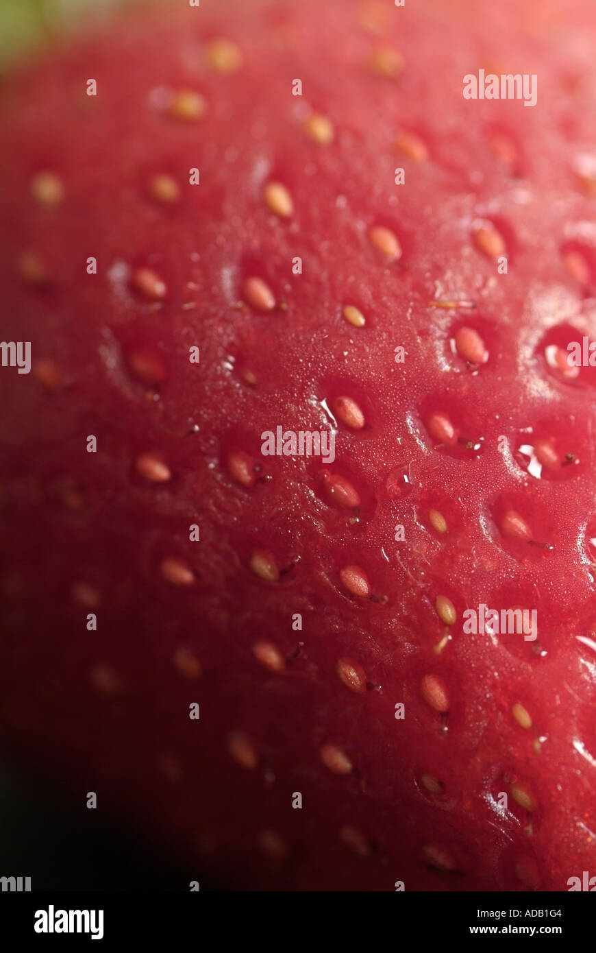 Strawberry strawberries fruit red hi-res stock photography and images ...