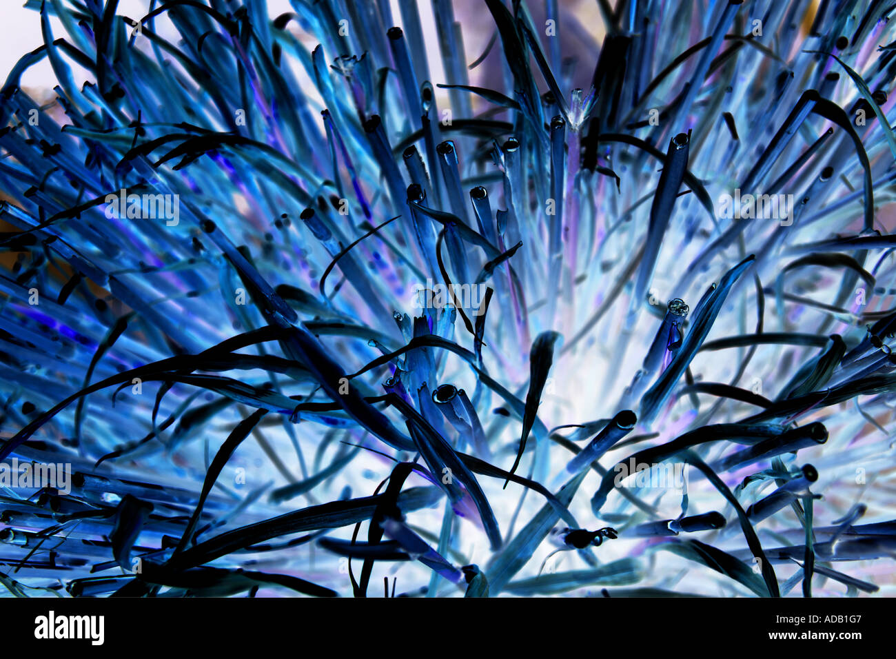 Freaky grass hi-res stock photography and images - Alamy