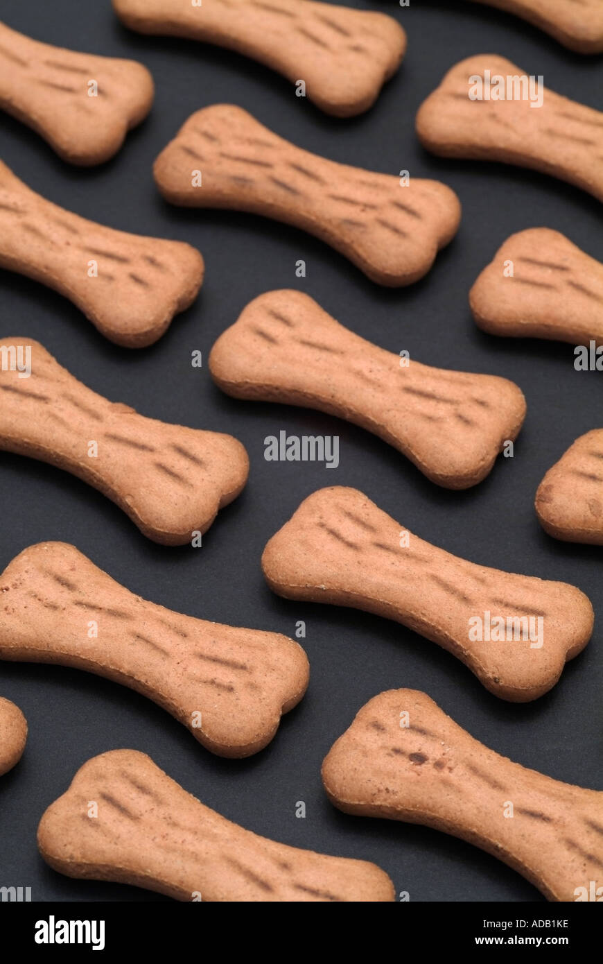 Dog Treats Stock Photos & Dog Treats Stock Images - Alamy