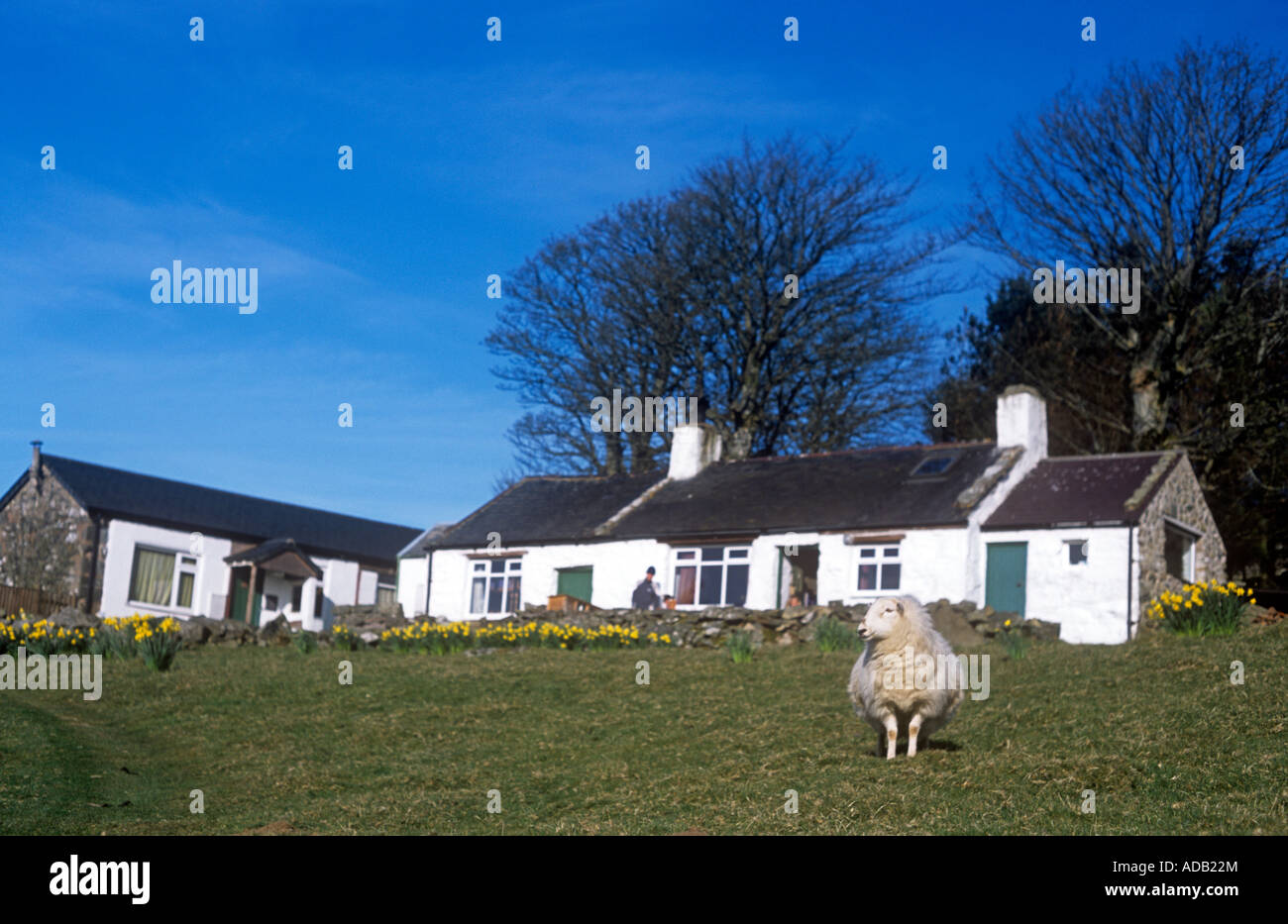 Stone Cottage Welsh Slate Roof Stock Photos & Stone Cottage Welsh Slate ...