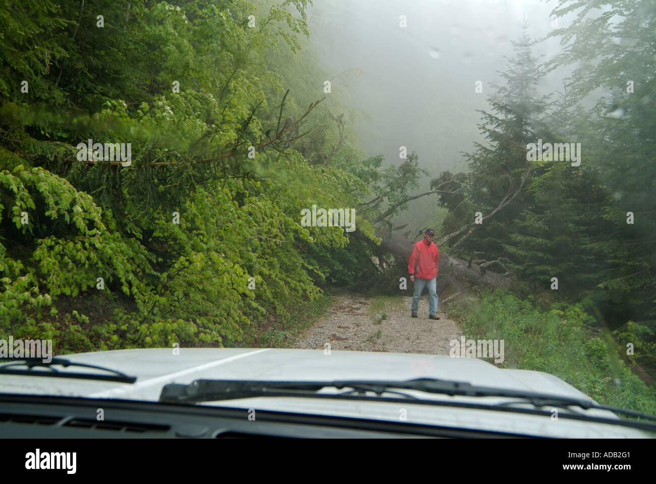 View from Inside an Off Road Vehicle Stopped on a Mountain Trail by a ...