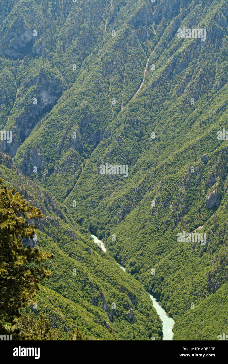 The Tara Canyon with the River Tara Flowing at its Base on the Border ...