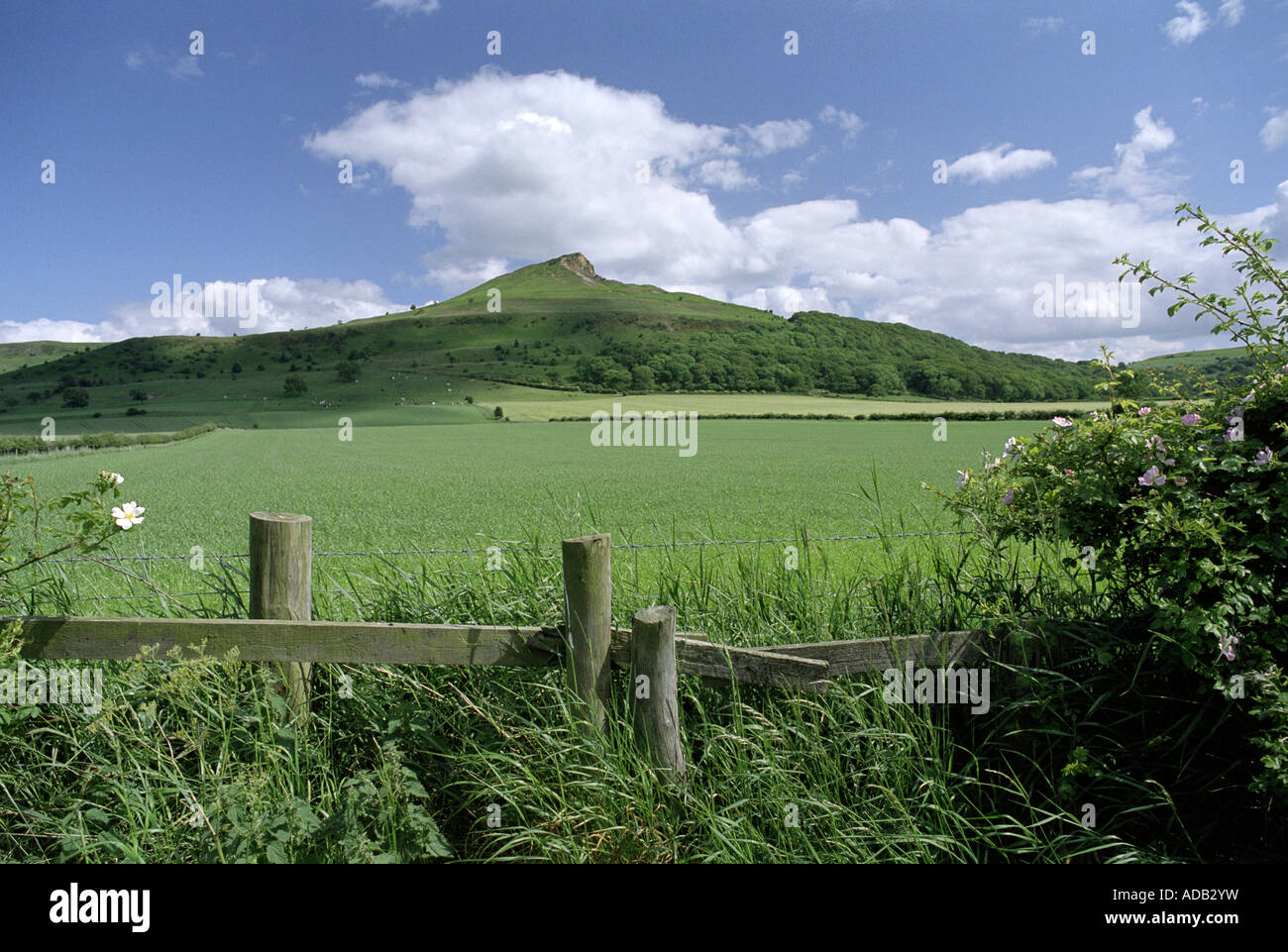 roseberry topping feature north yorkshire england uk gb Stock Photo - Alamy