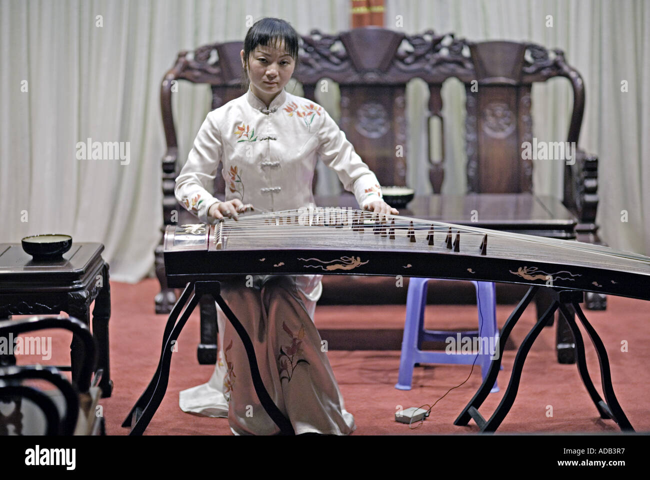 CHINA HANGZHOU A female Chinese musician plays the Chinese Zither or ...