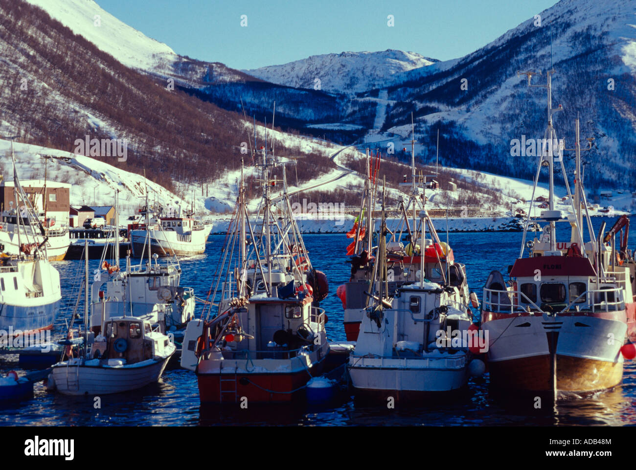husoy fishing village small island senja coastal norway winter blue ...