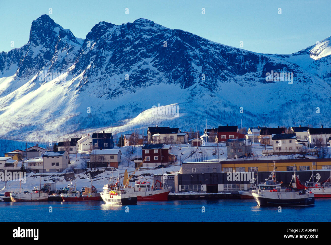 husoy fishing village small island senja coastal norway winter blue ...