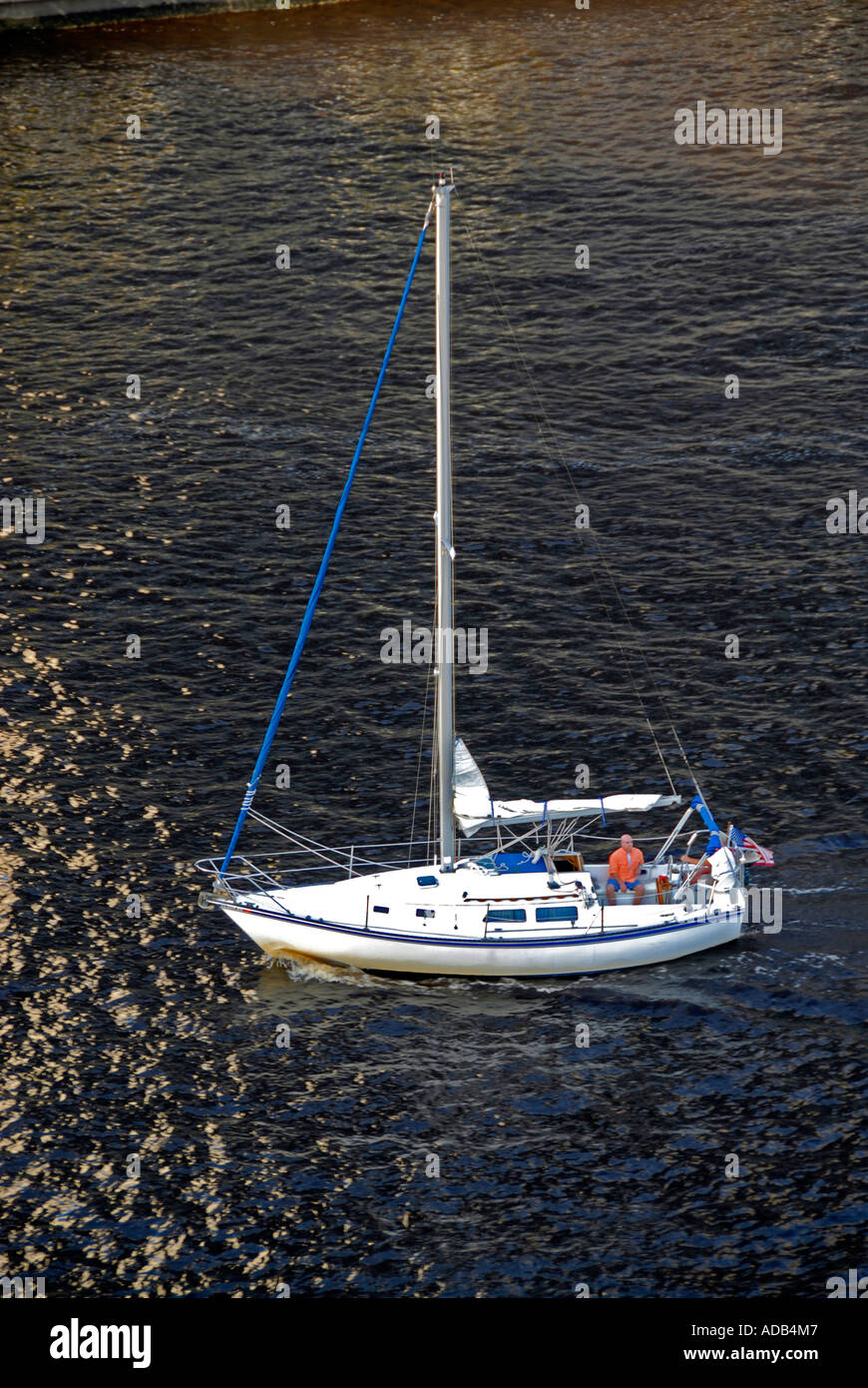 Sailboat recreation on the St John s river in Jacksonville Florida ...