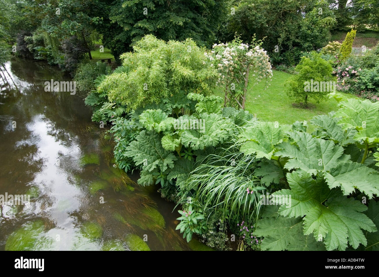 River Wey - Tilford - Surrey - UK Stock Photo - Alamy
