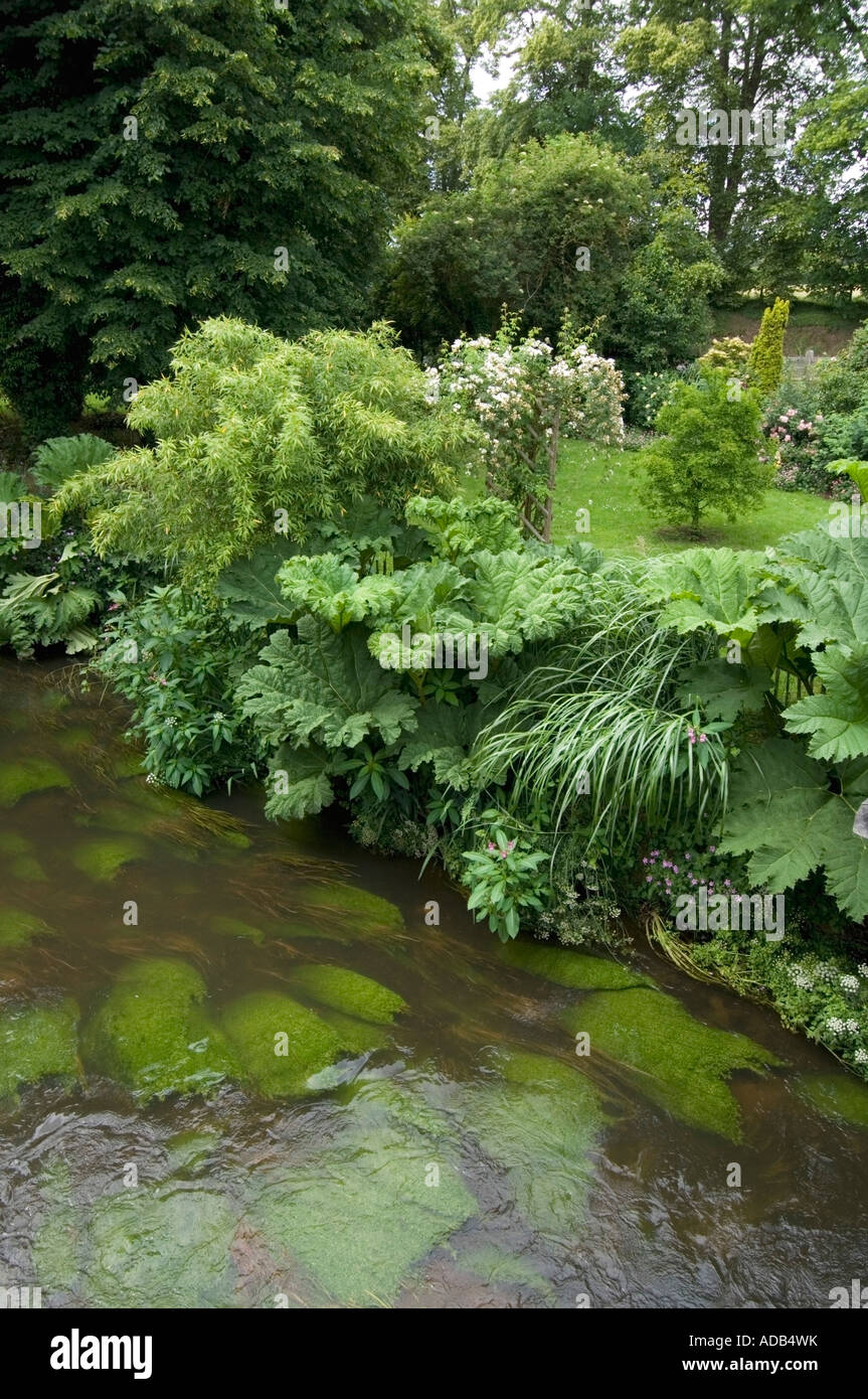 River Wey - Tilford - Surrey - UK Stock Photo - Alamy