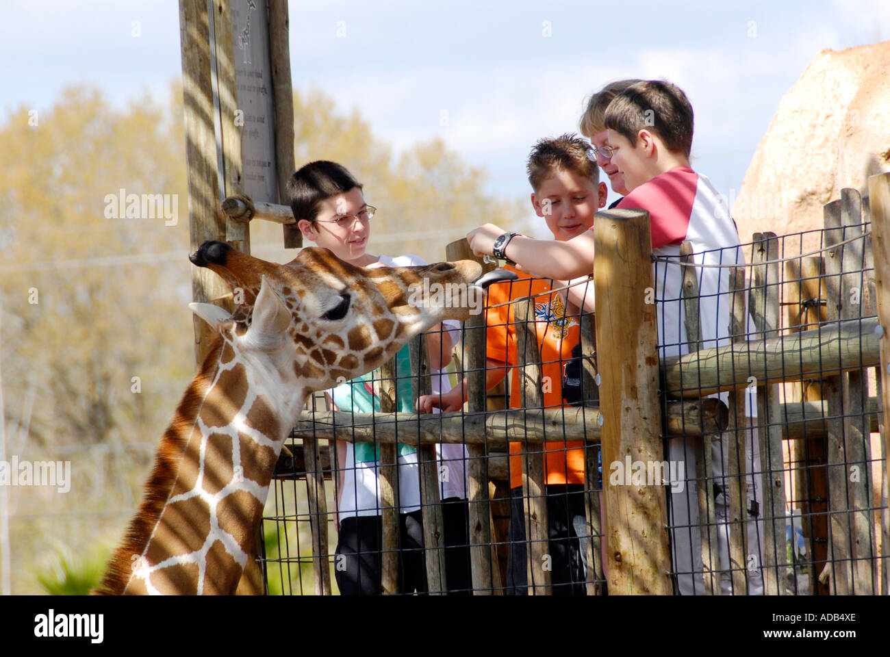 Public feeding animals in zoo hi-res stock photography and images - Alamy