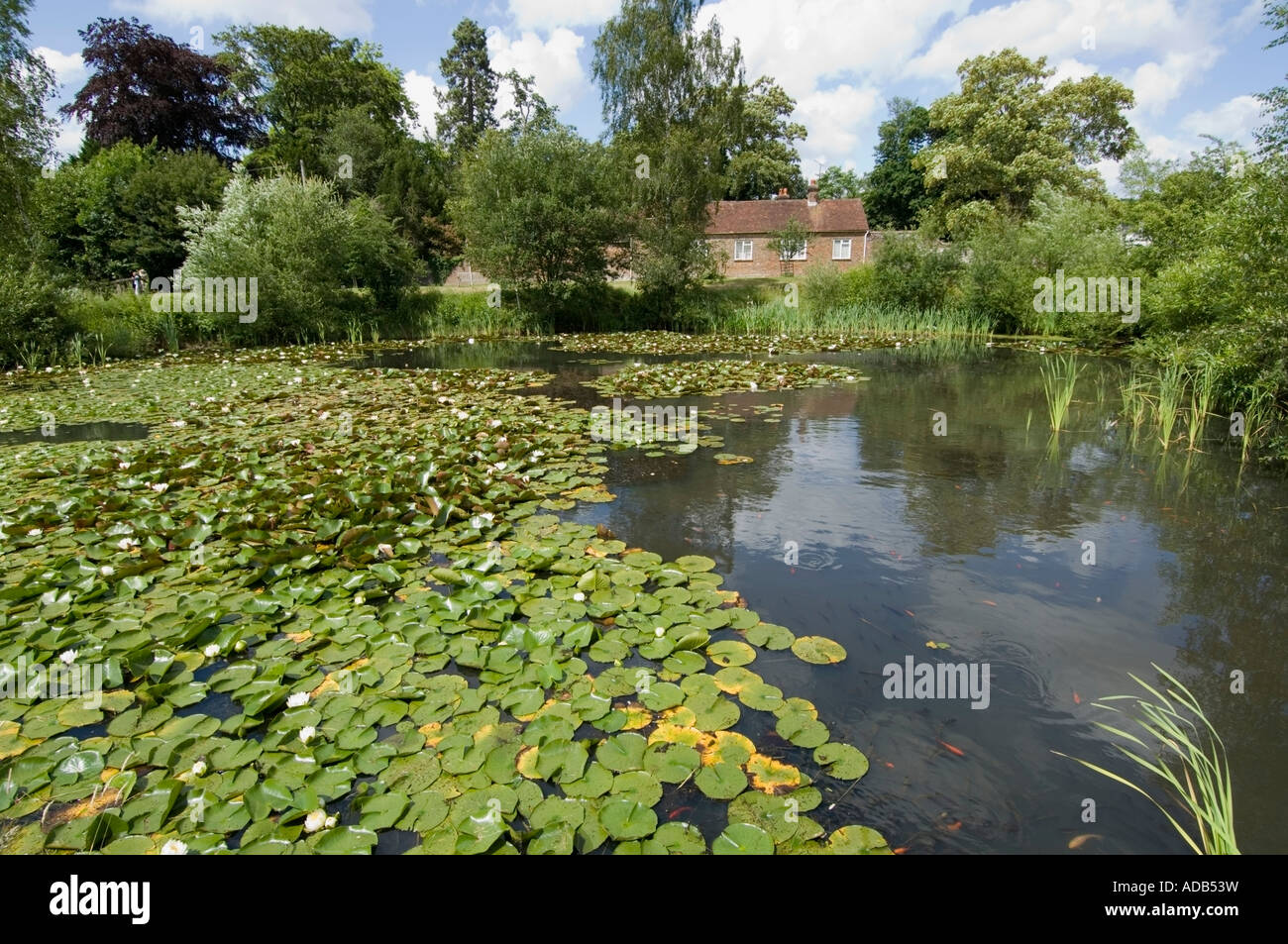 Chiddingfold pond hi-res stock photography and images - Alamy