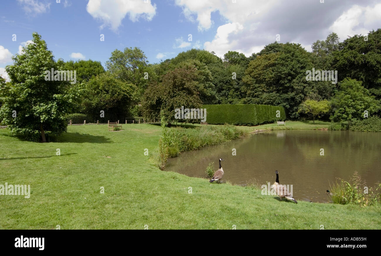 Hascombe village hi-res stock photography and images - Alamy