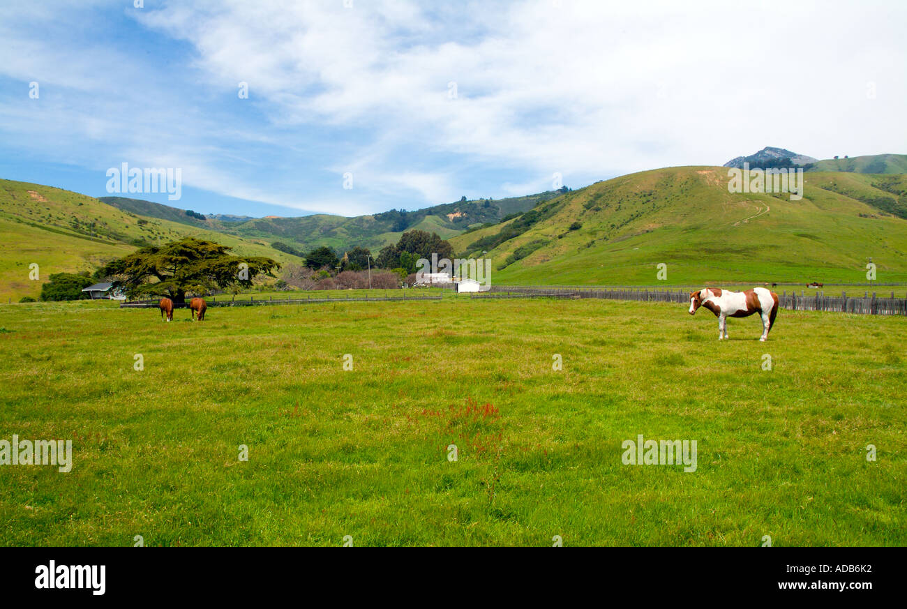Big sur ranch hi-res stock photography and images - Alamy