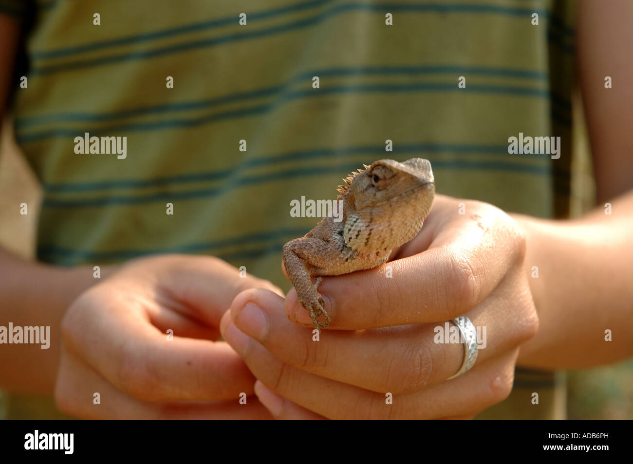 A young child holding a pet lizard in Laos Stock Photo - Alamy