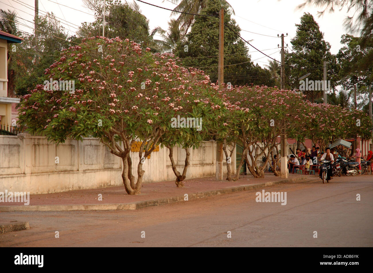 A tree lined street typical in the laid back town of Kampot in Cambodia ...