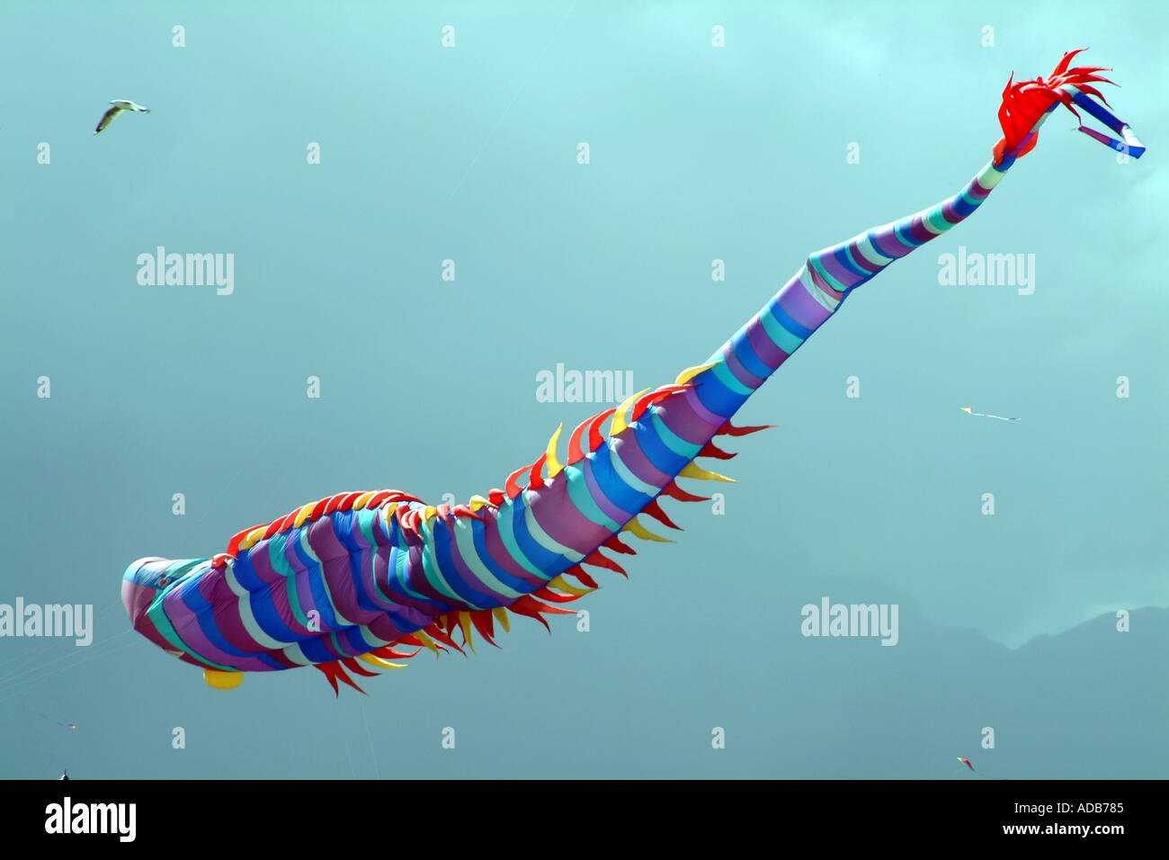 Giant Kite Flying by Frenchman Pierre Fabre at Festival Nr Cape Town ...