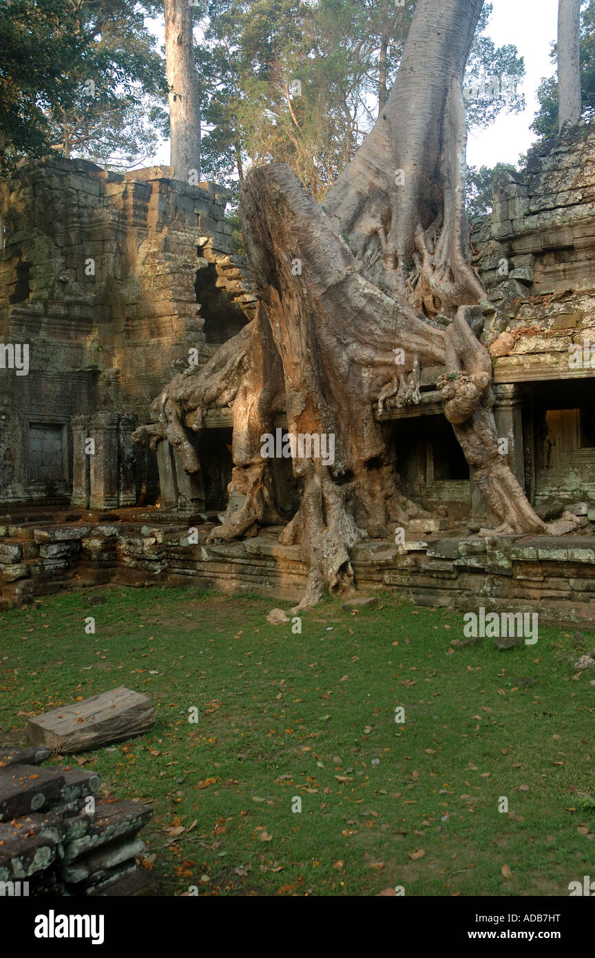 East Mebon Temple in the ancient Khmer complex of Angkor in Cambodia ...
