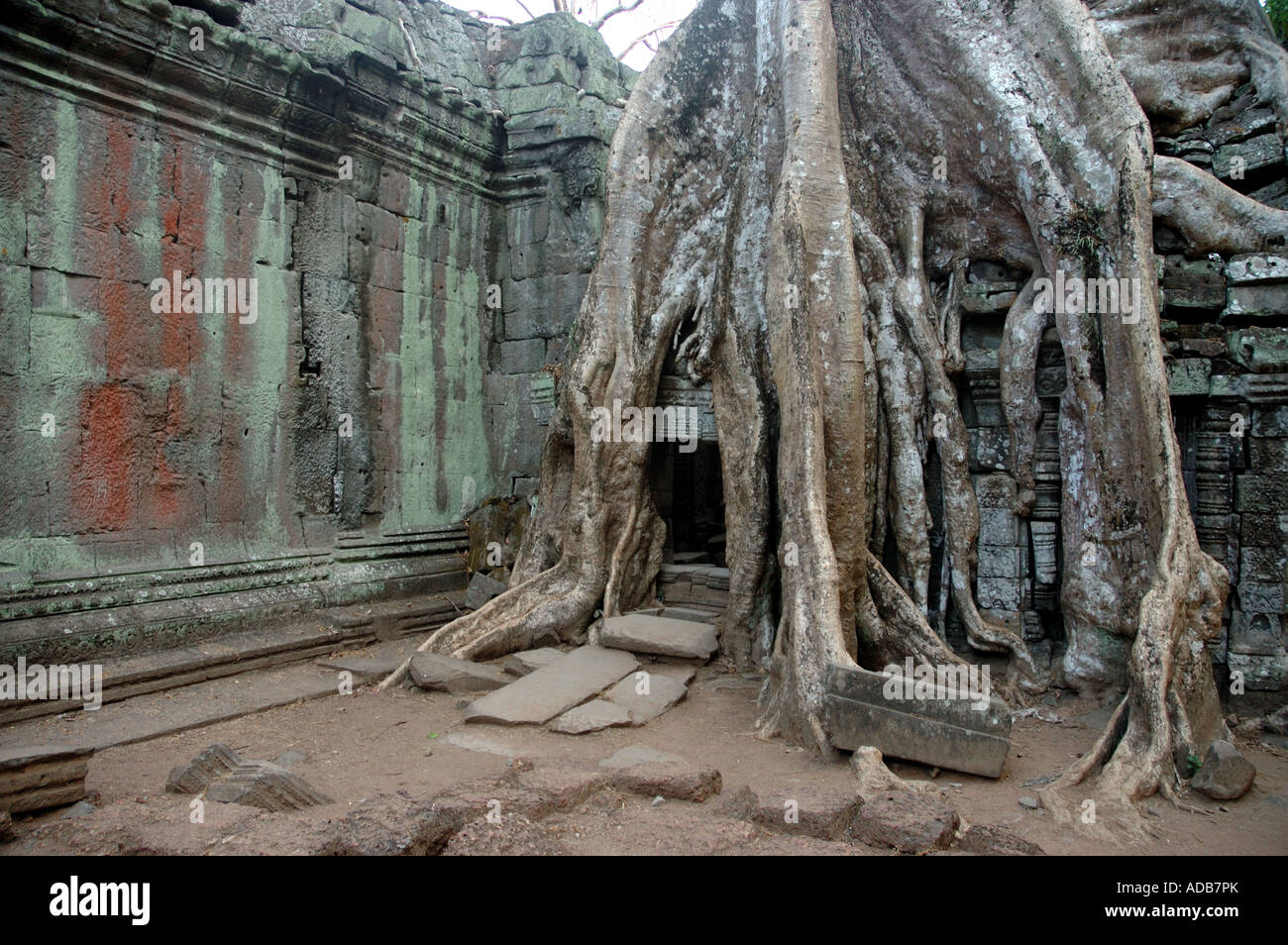 Preah Khan Temple in the Angkor Complex home of the ancient Khmer ...