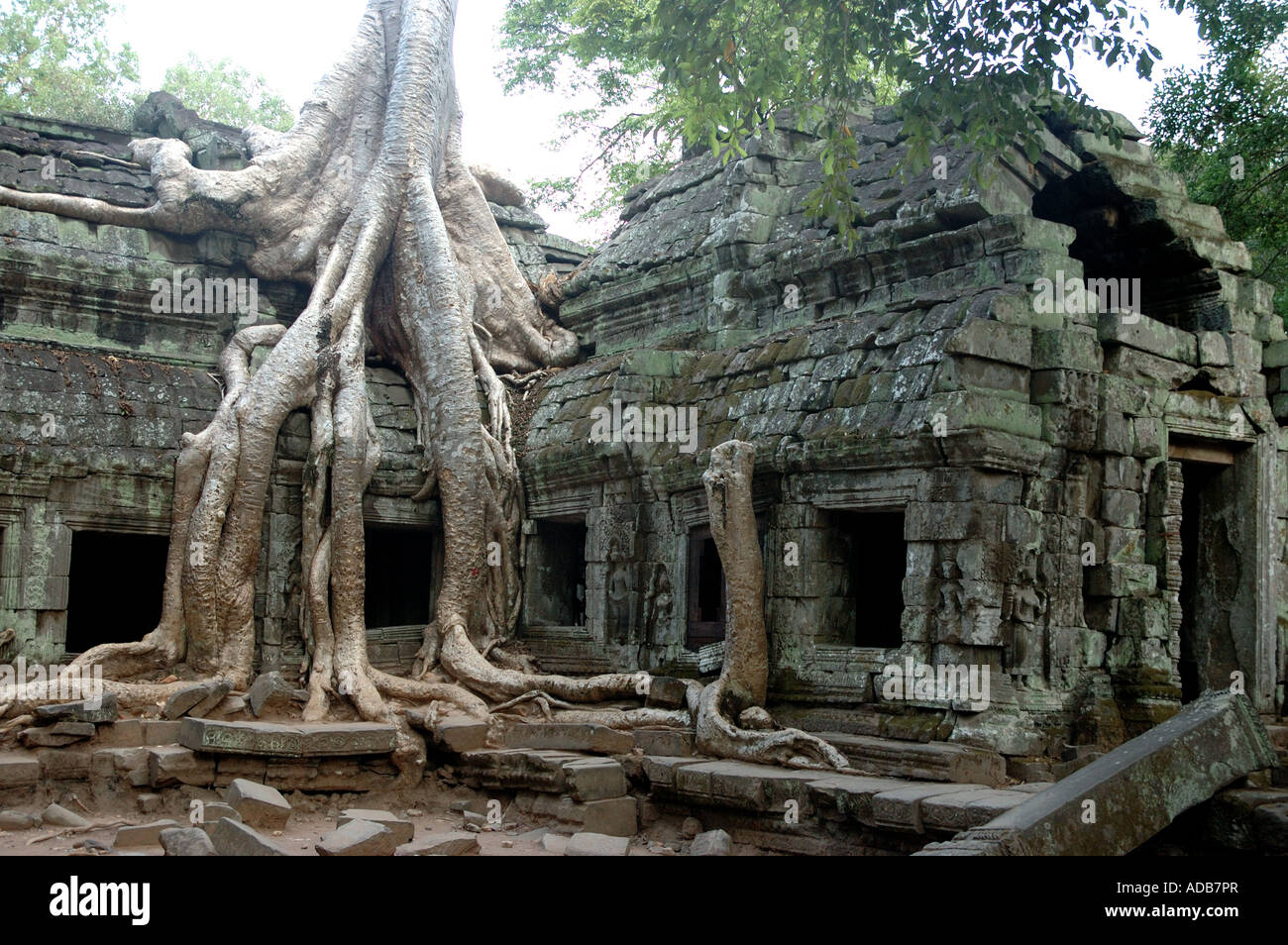 Preah Khan Temple in the Angkor Complex home of the ancient Khmer ...