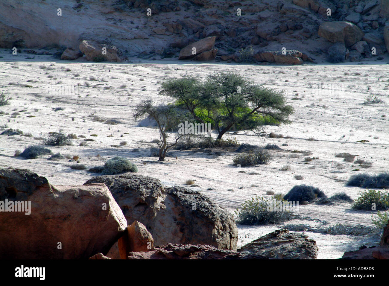 Dry Riverbed Namib Desert Central Namibia Southern Africa Stock Photo ...