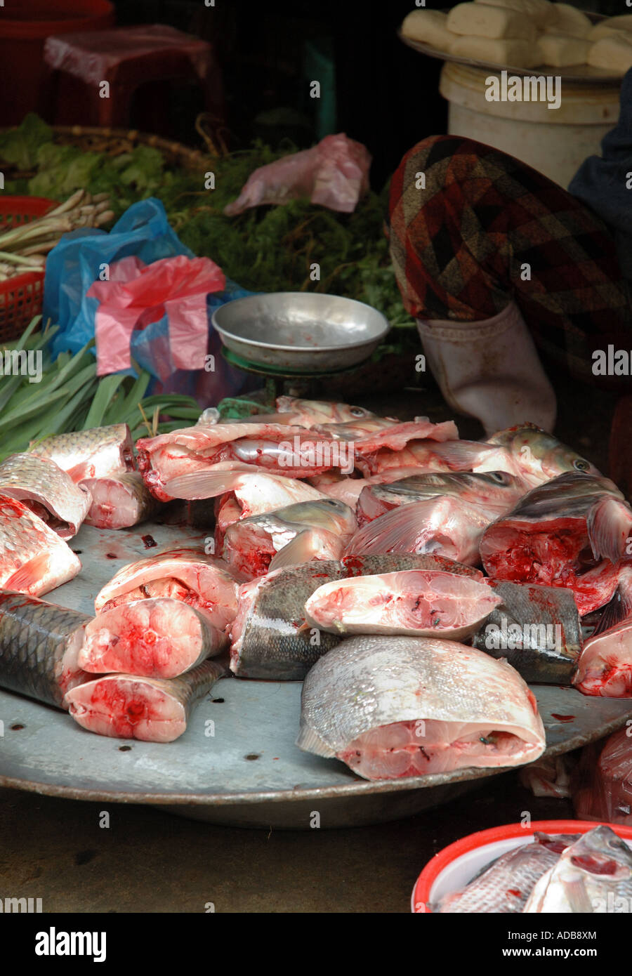Gore fish hi-res stock photography and images - Alamy