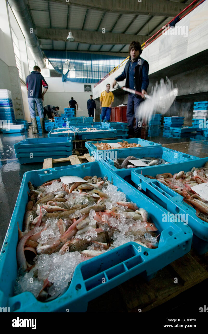 Commercial seafood distribution Spain Stock Photo - Alamy