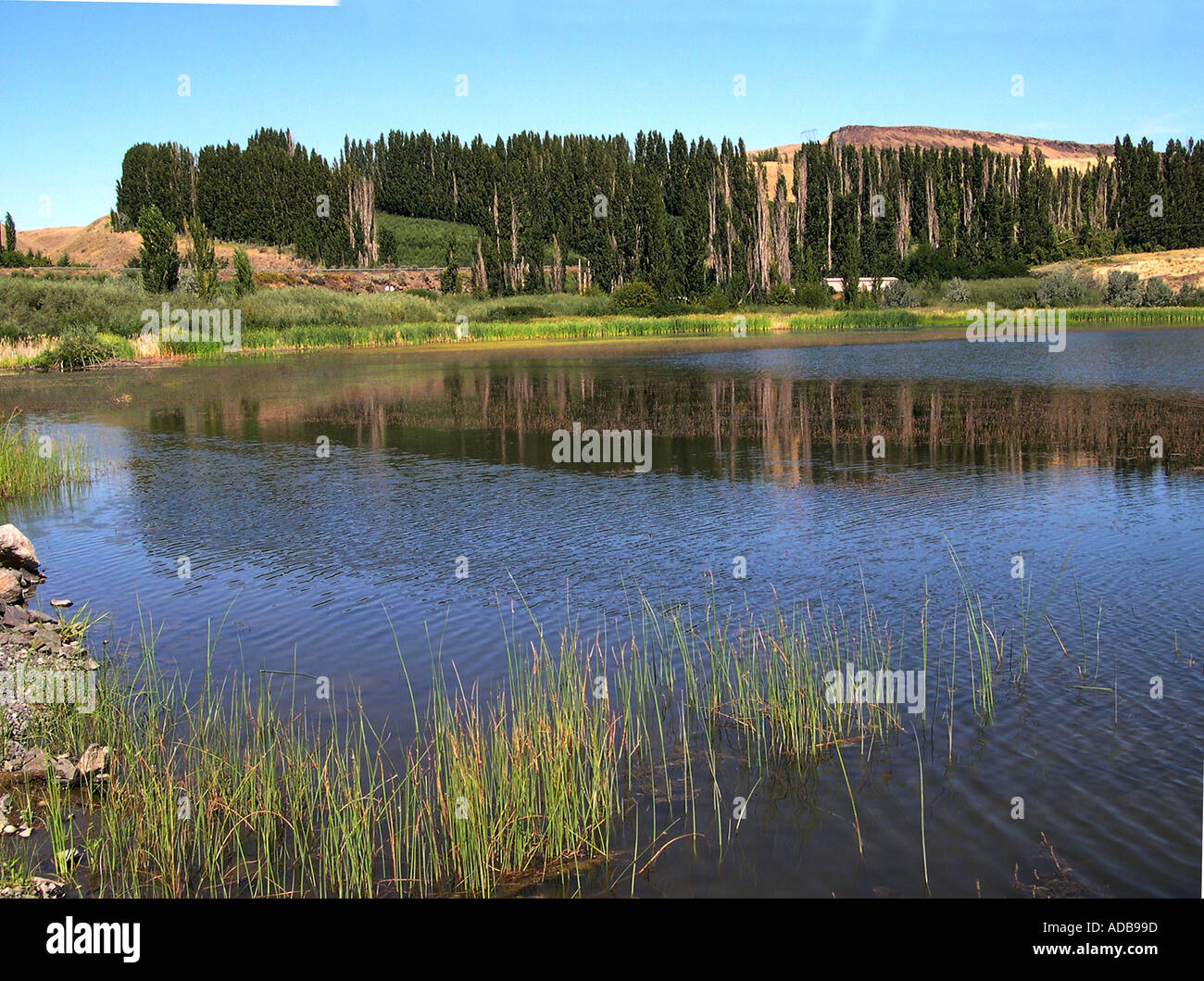 Indian fishing columbia river hi-res stock photography and images - Alamy