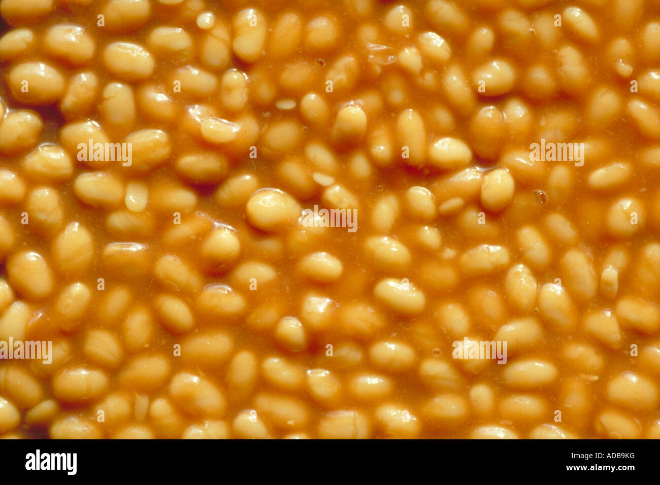 Baked Beans in Tomato Sauce Stock Photo - Alamy