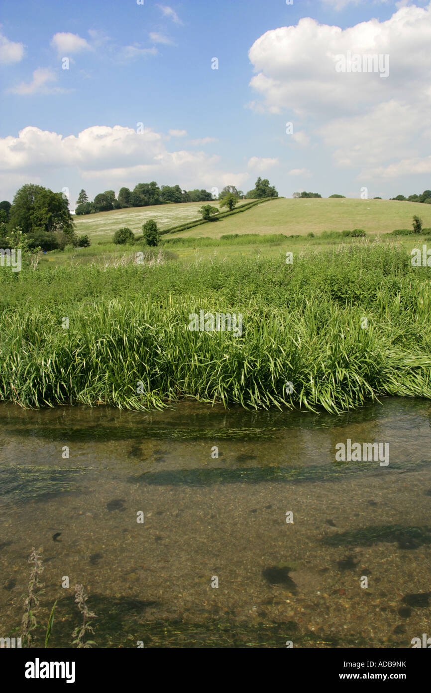 River Chess and Chiltern Hills in Spring Chess Valley Hertfordshire ...