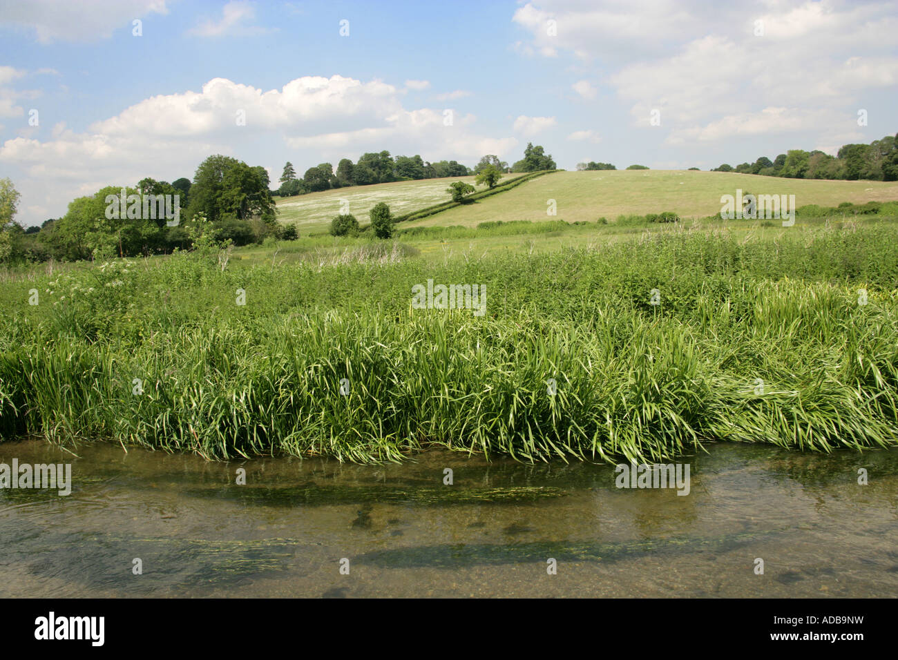 River Chess and Chiltern Hills in Spring Chess Valley Hertfordshire ...