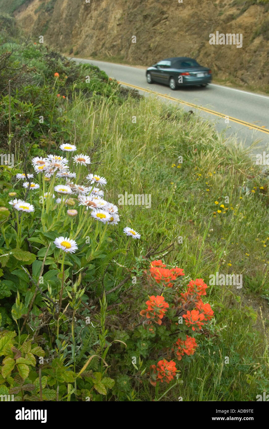 Us highway route 1 one hi-res stock photography and images - Alamy