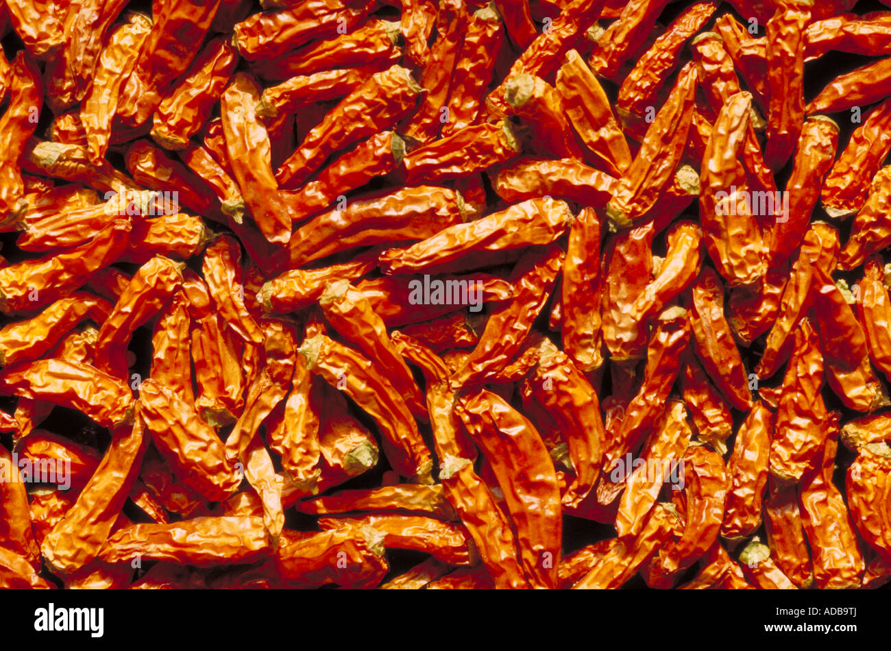 Dried Chilli Peppers Stock Photo - Alamy