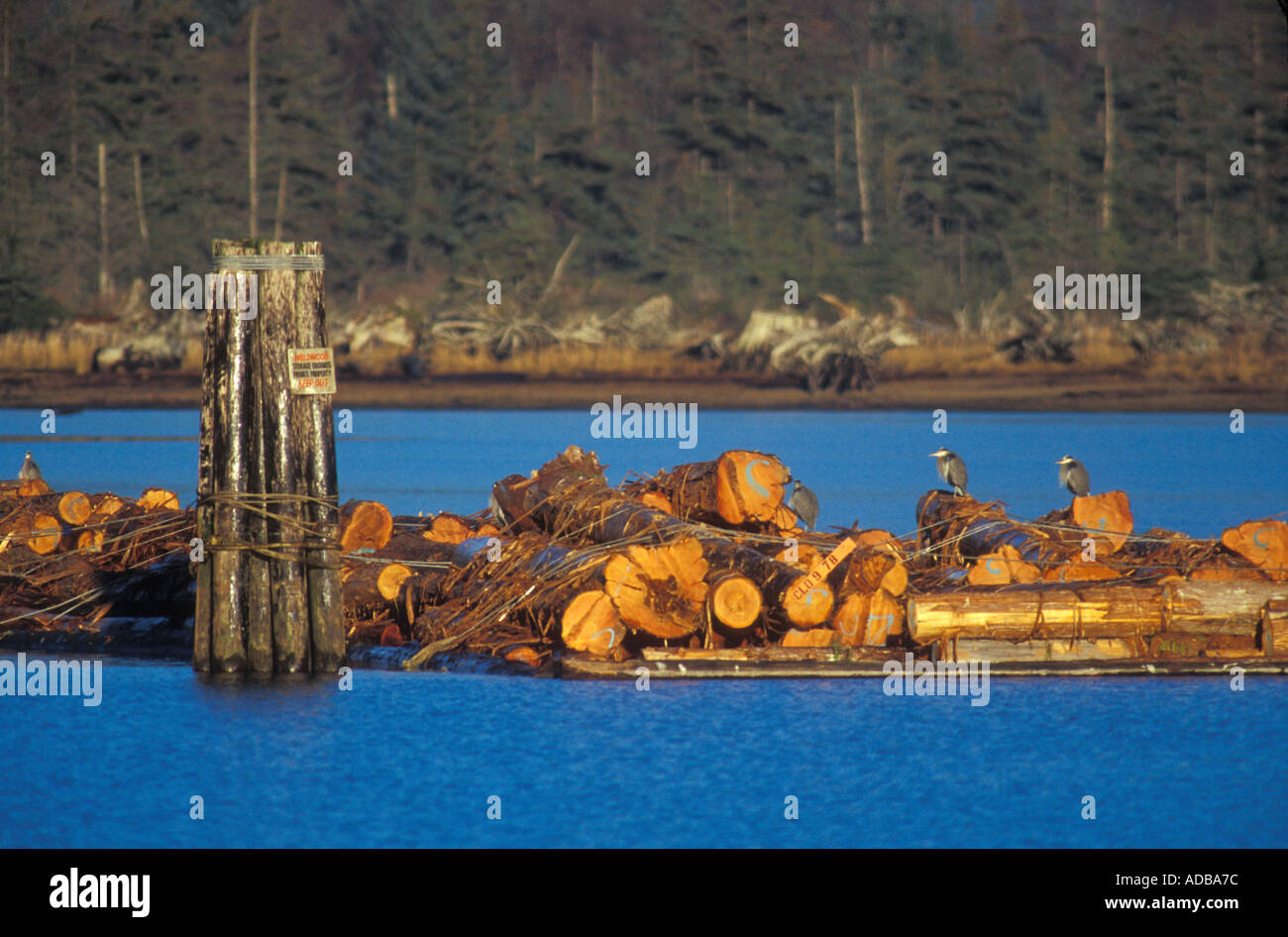 Log raft hi-res stock photography and images - Alamy