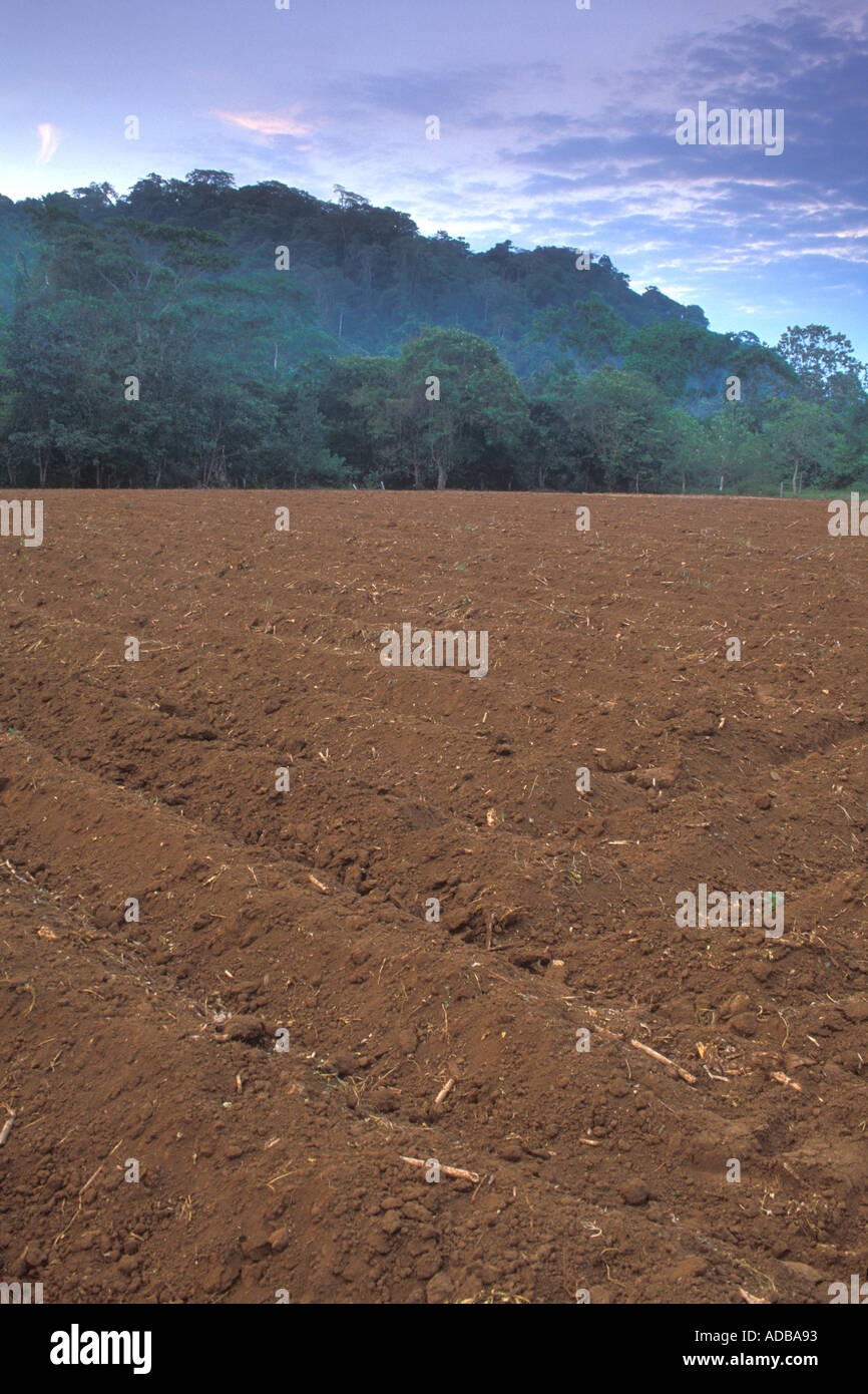 Field ready for planting near Pital Costa Rica Stock Photo - Alamy