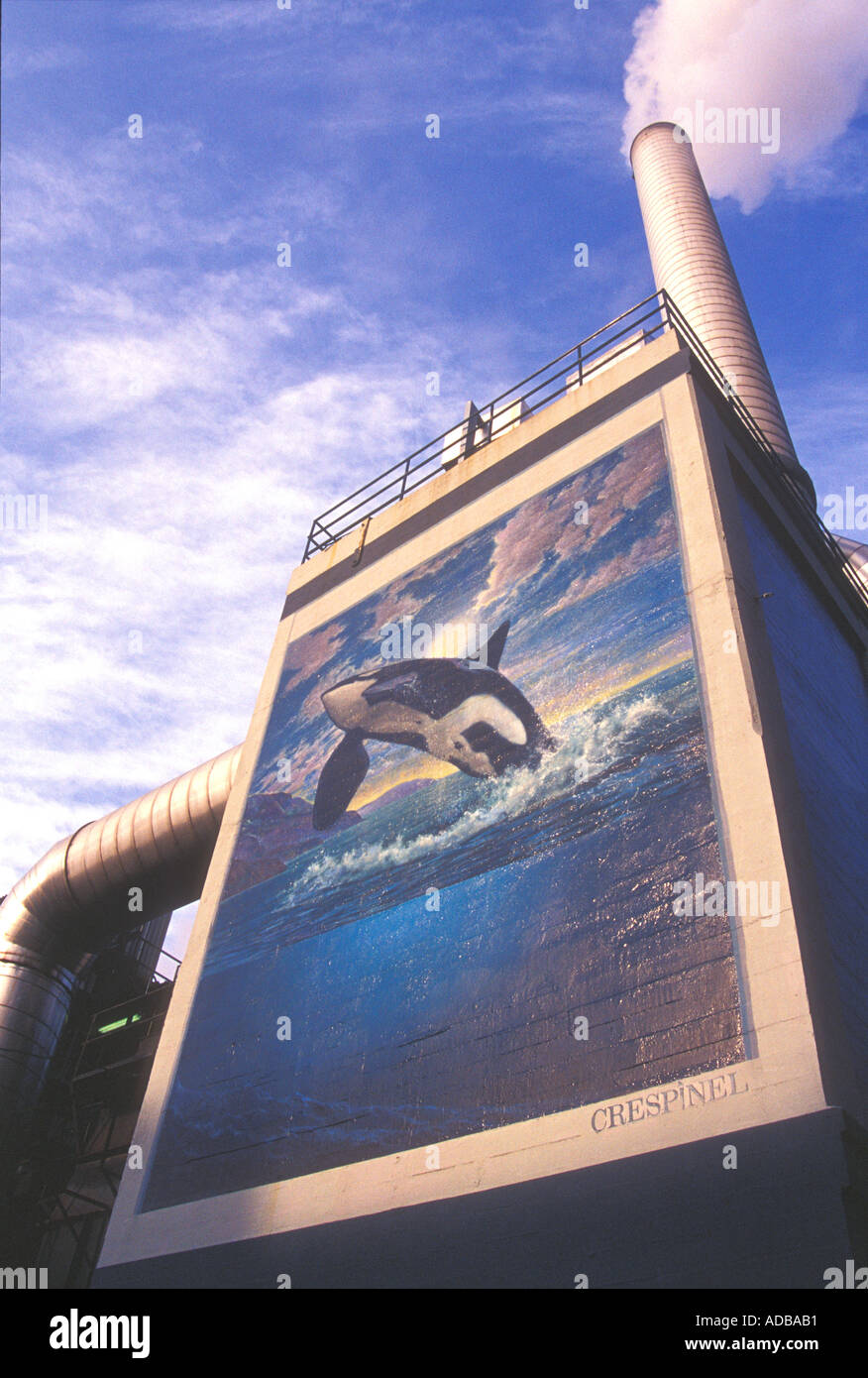 Killer Whale mural in downtown Seattle Washington Stock Photo - Alamy