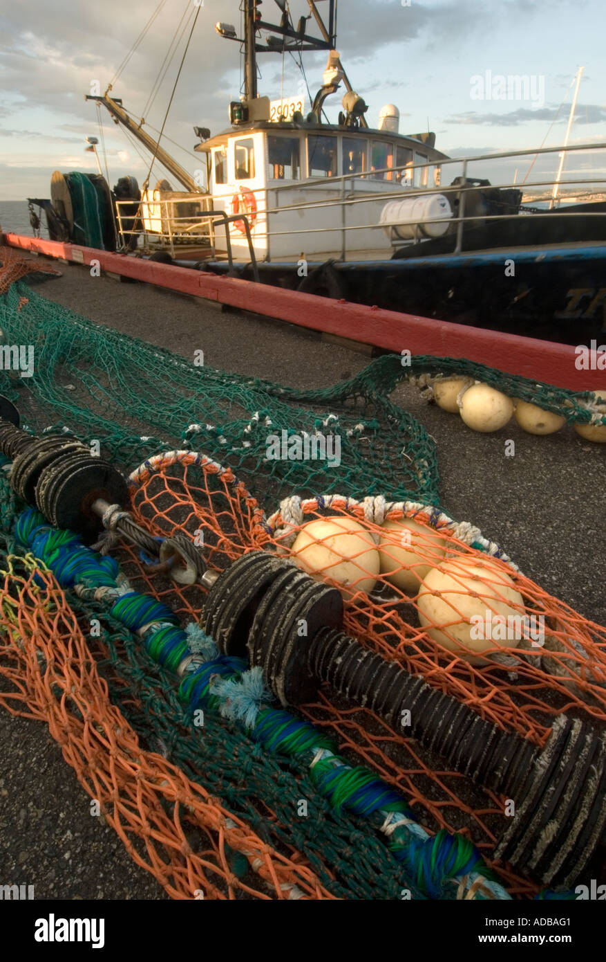 Squid nets hi-res stock photography and images - Alamy