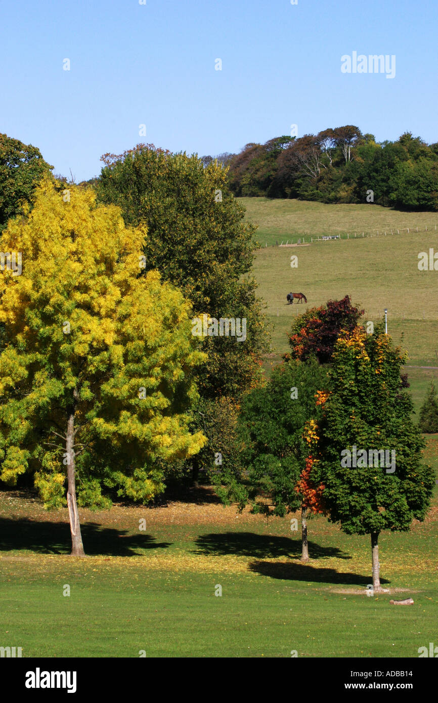 Stanmer park brighton hi-res stock photography and images - Alamy
