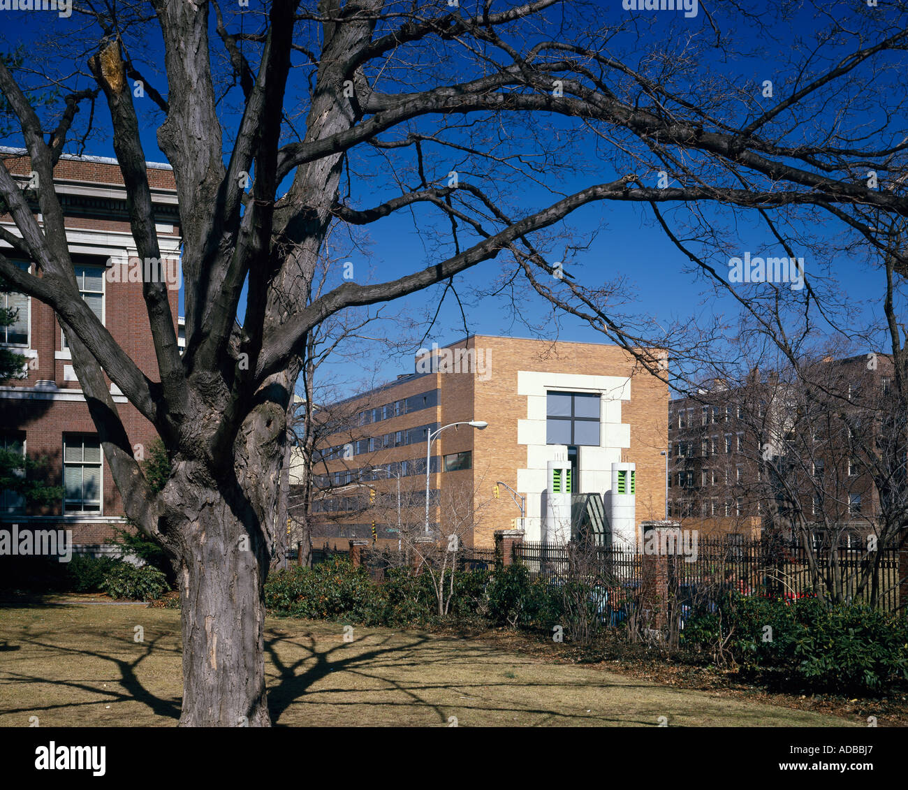 Harvard museum of art hi-res stock photography and images - Alamy