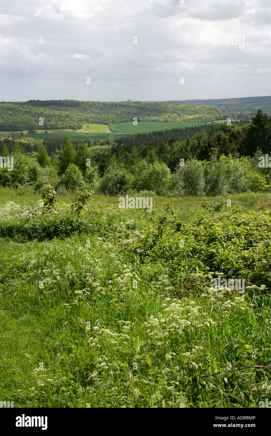 A View of the Chiltern Hills from Wendover Forest, Buckinghamshire, UK ...