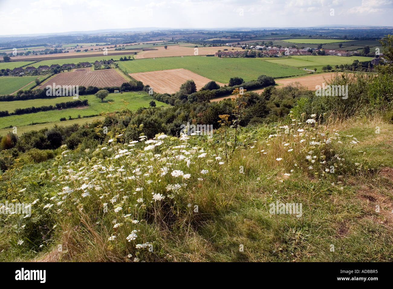 Ham hill somerset hi-res stock photography and images - Alamy