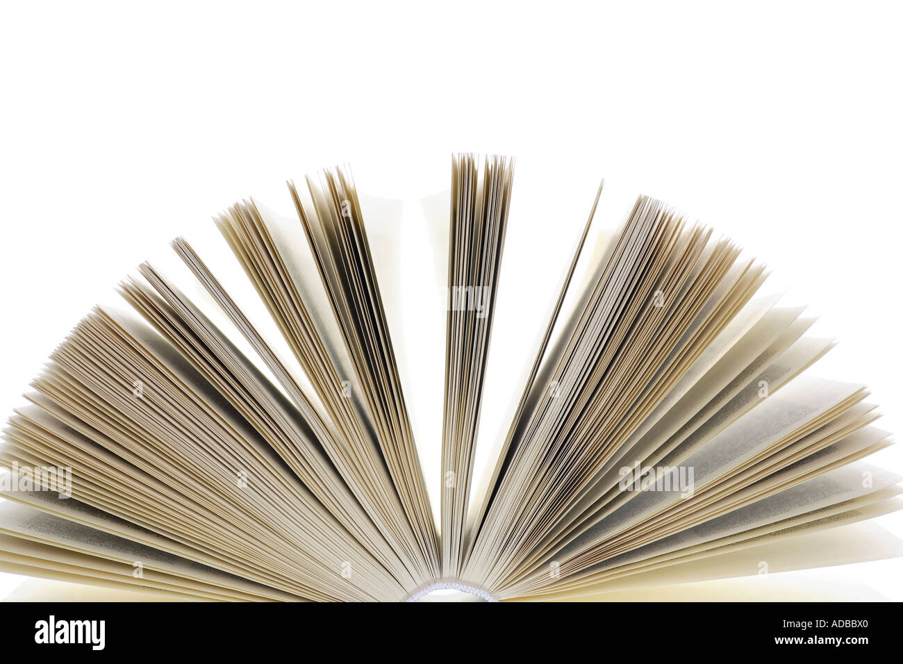Pages of an open book Stock Photo - Alamy
