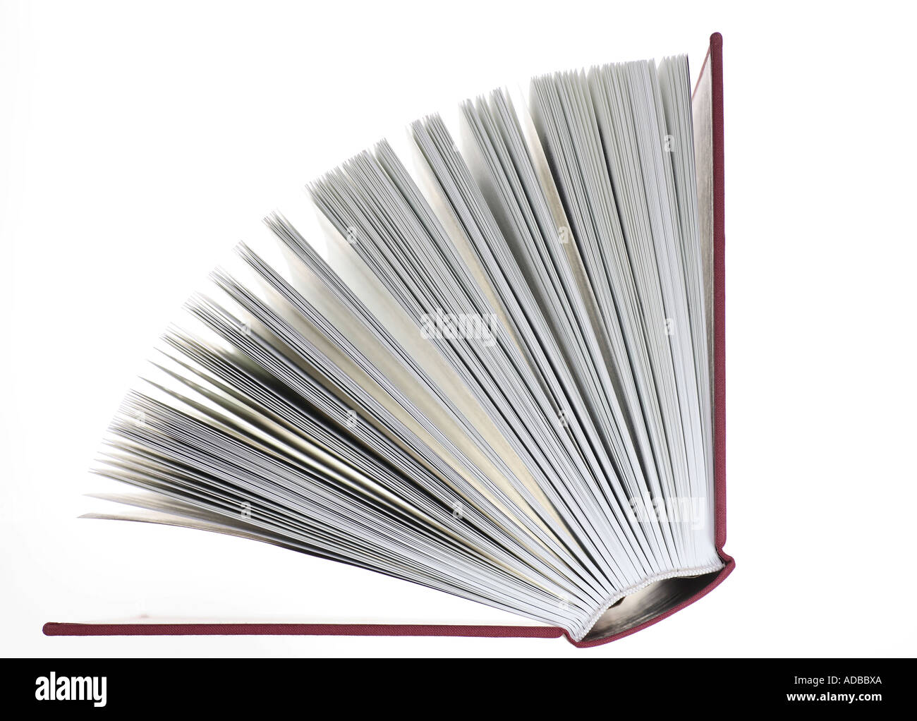 Pages of an open book Stock Photo - Alamy