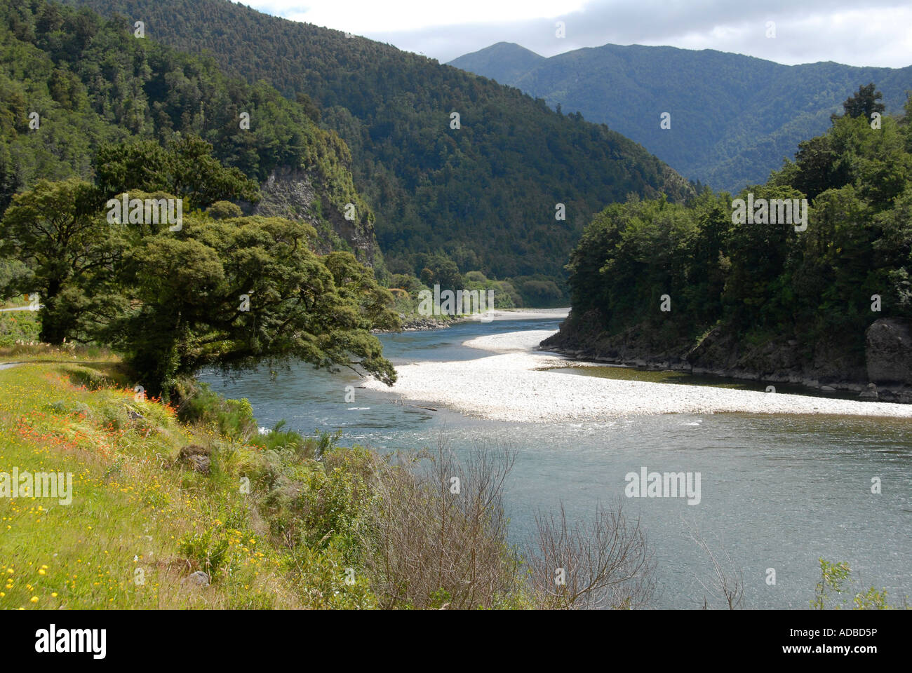 Buller River Lower Buller Gorge South Island New Zealand Stock Photo ...