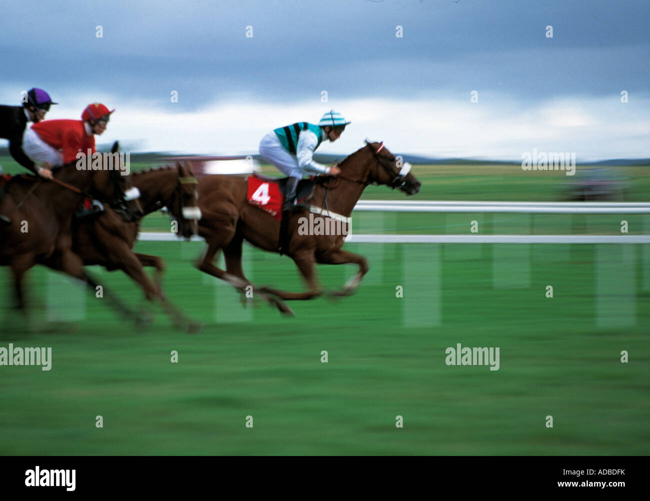 tralee annual horse racing county kerry, ireland, horses on the flat in ...