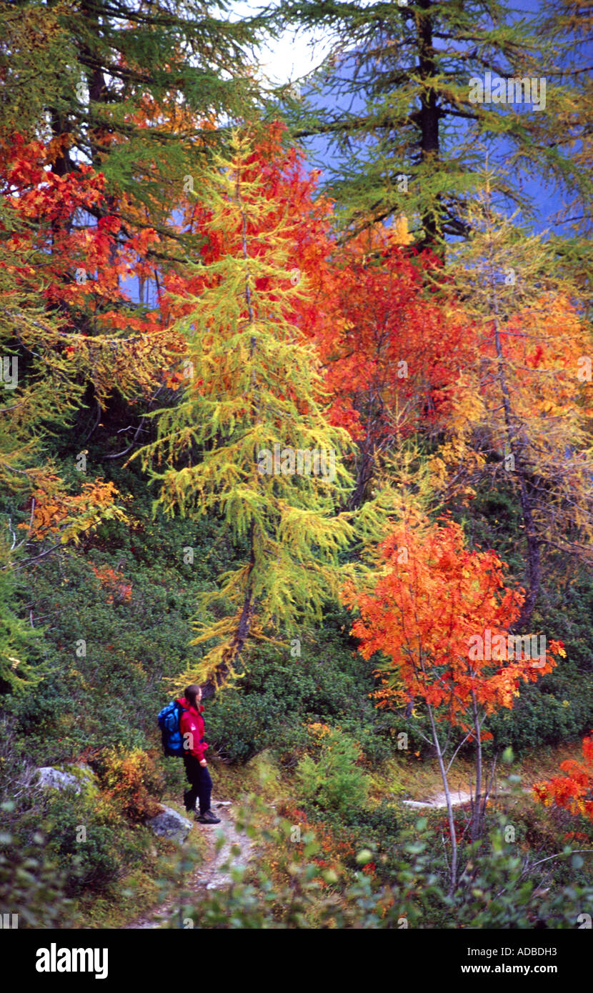 People walking among trees hi-res stock photography and images - Alamy